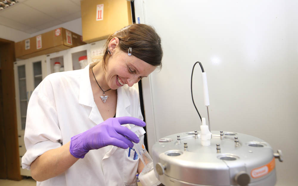 The Carousel 6 Plus | Full Range Info | Radleys Chemistry Equipment