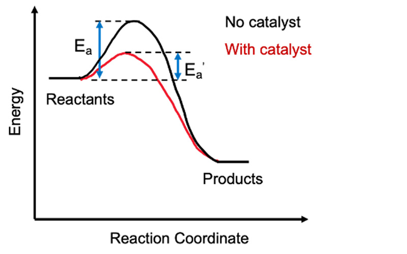 Case Studies in Catalysis | Radleys Tips for Efficient Reactions